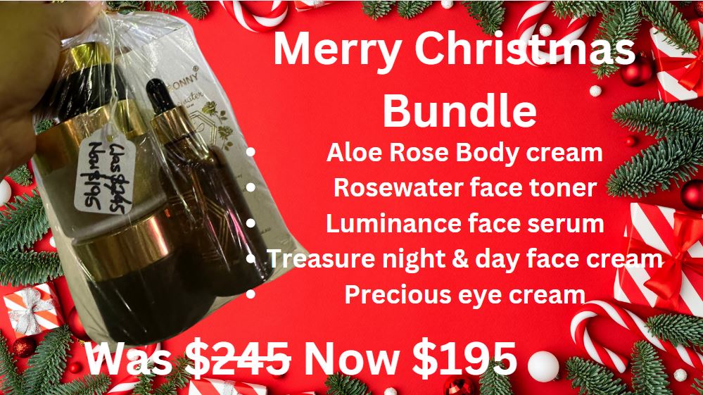 Merry Christmas Bundle | Bee Bonny
